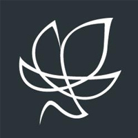 The Ivy Group | Vision. Strategy. Growth.